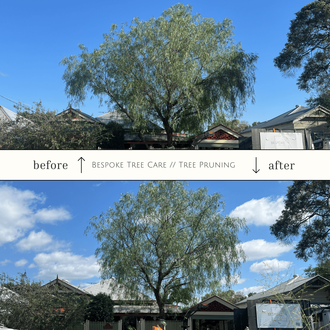 Tree Pruning - Bespoke Tree Care